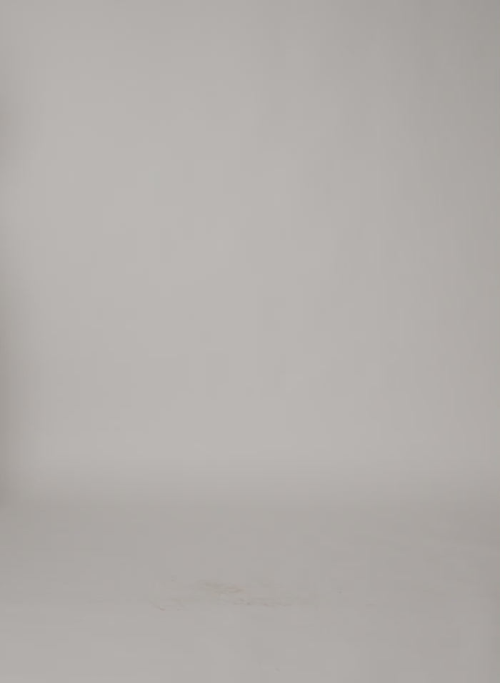 Bonded Dry Loop Terry Shorts – Tibi Official