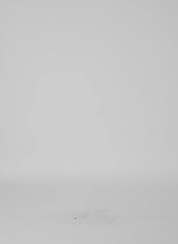Chassis Hoop Pencil Skirt – Tibi Official