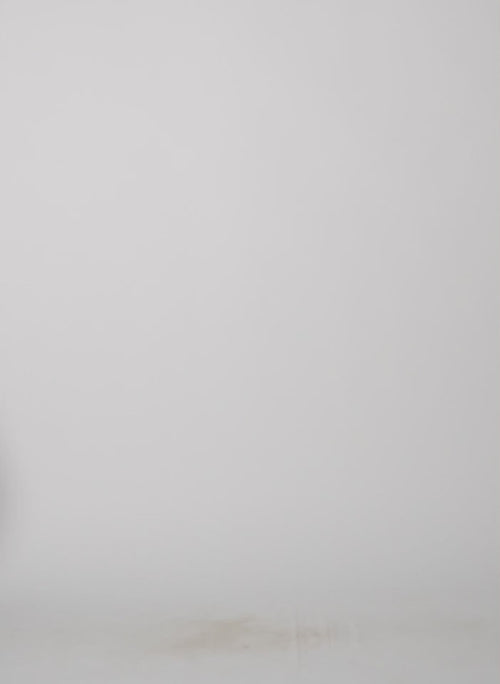 Dry Loop Terry Easy Polo Shirt – Tibi Official